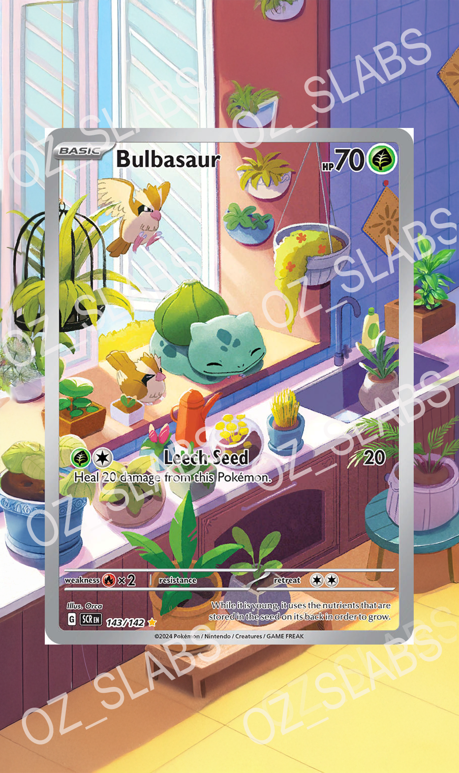 Bulbasaur extended art case – Oz Slabs