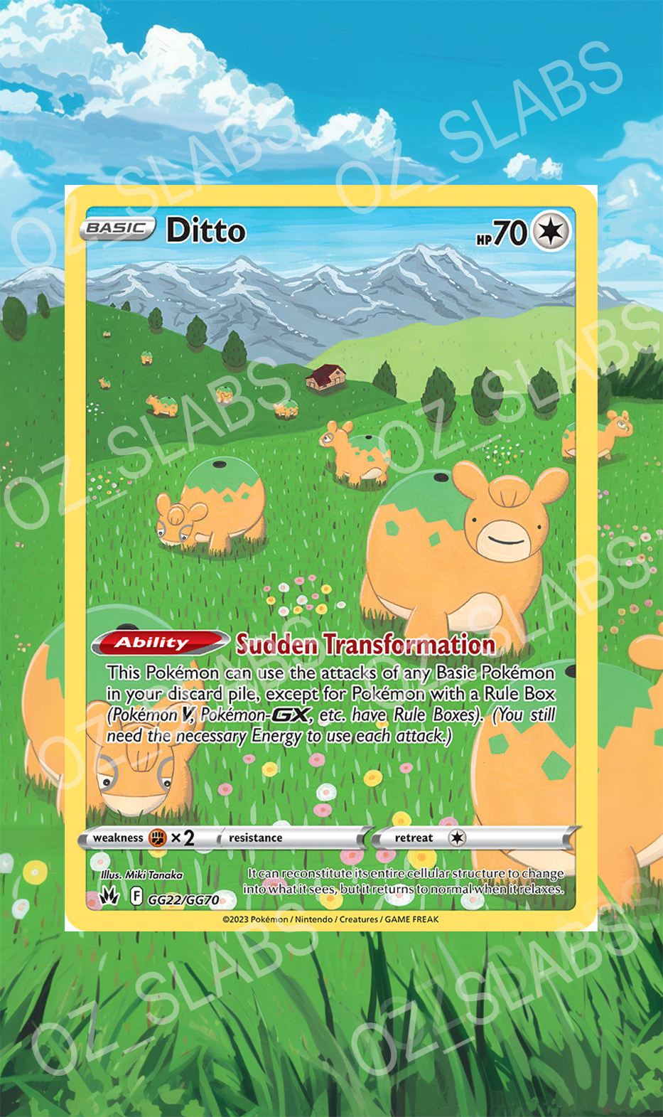 Ditto extended art case – Oz Slabs